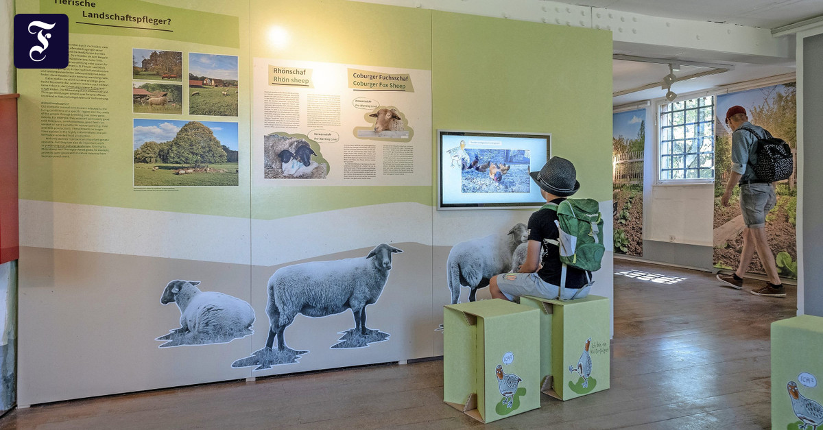 Arten-Raten und alte Sorten: Ausstellung zur Artenvielfalt im Hessenpark