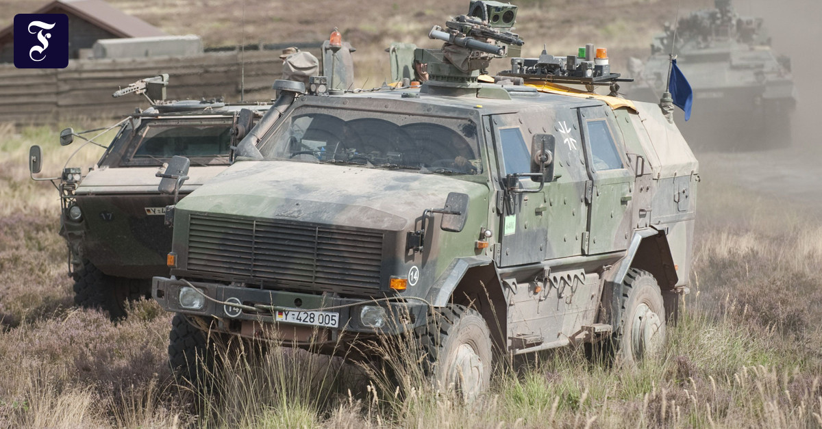 Panzer für die Ukraine: Der Dingo ist kein Leopard
