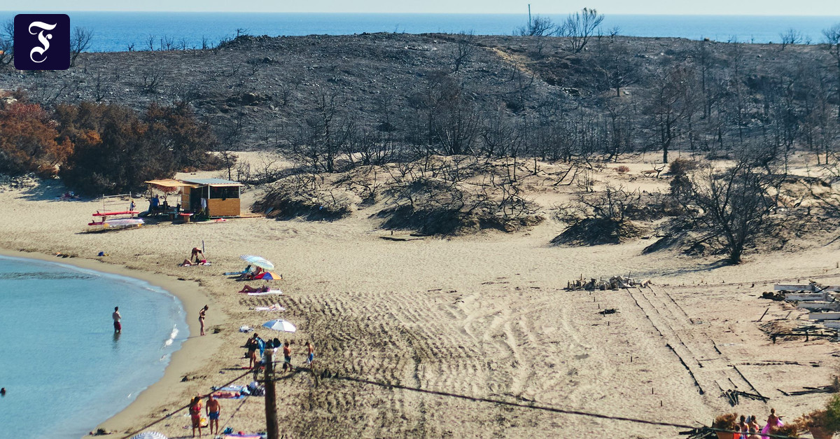 Rhodos nach den Waldbränden: Zurück zur Normalität