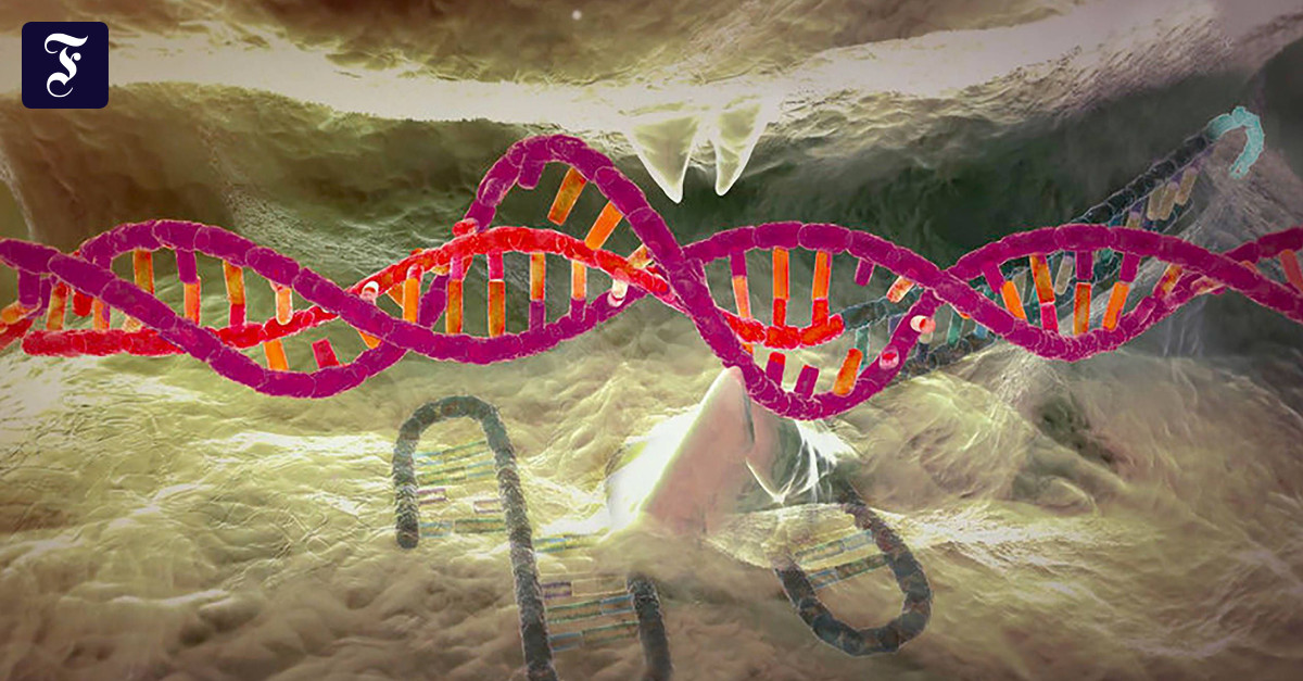 Warum He Jiankuis Genom-Editierung ein Fehler war