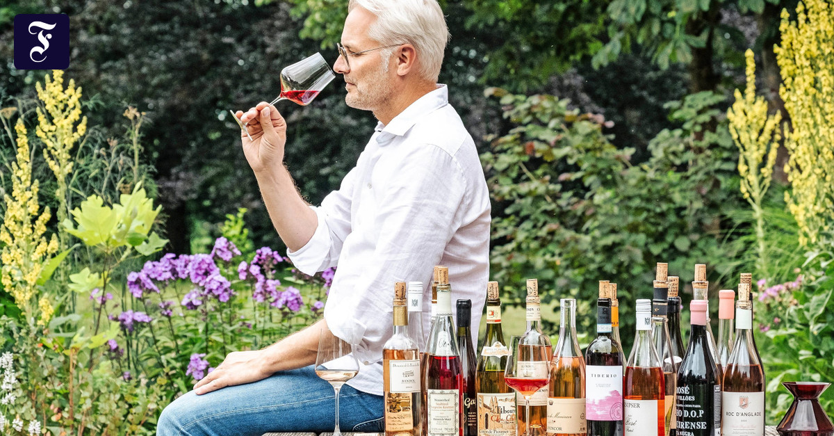 Rosé-Weine im Test: 19 Empfehlungen für den Sommer