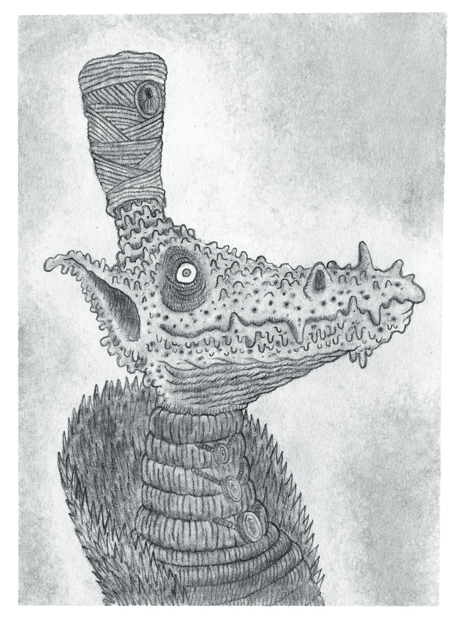 Bilderstrecke zu: Die Insel der Tausend Leuchttürme: Walter Moers' Zamonien-Roman - Bild 1 von 5 ...