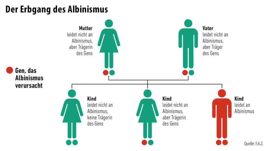 Albinismus Vererbung Familiäre Foveahypoplasie ± Klinische
