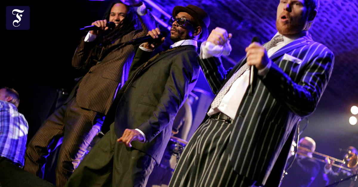 Seeed im Gespräch: „Erst gibt’s Abendbrot, dann geht’s auf die Bühne“