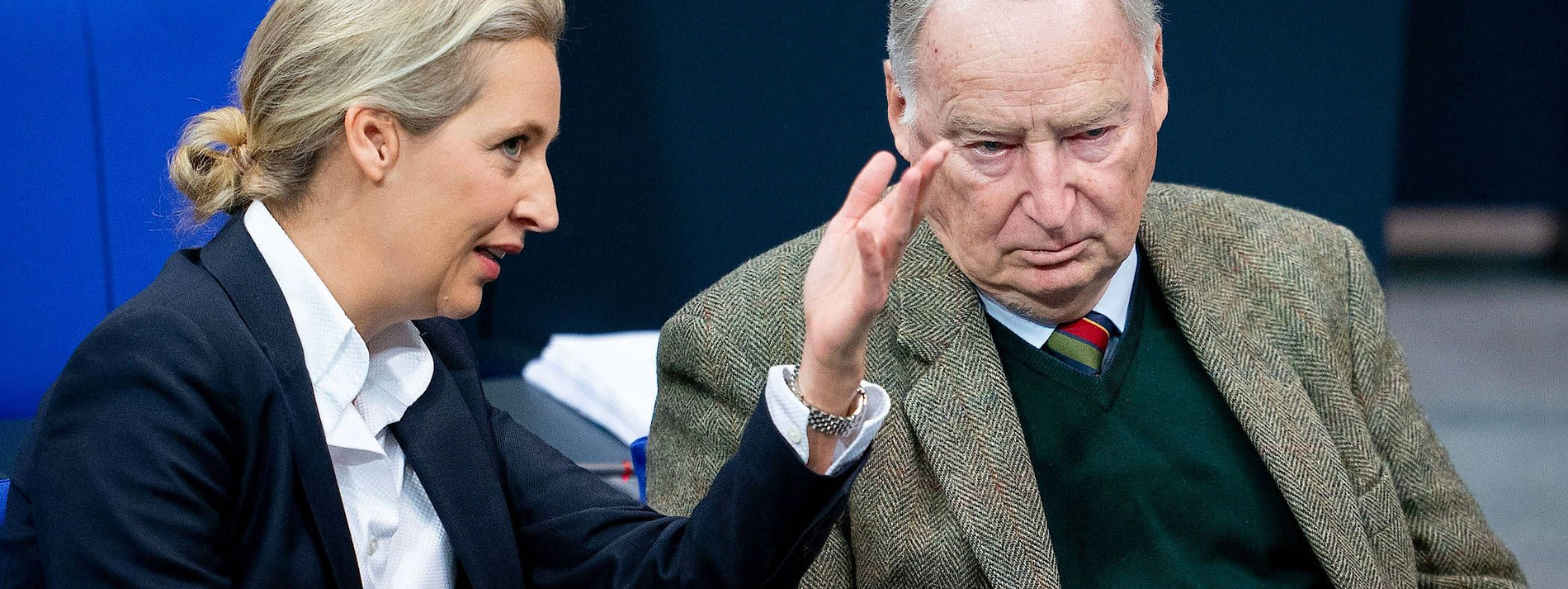 Juden in der AfD: Aktuelle News der FAZ zur Vereinigung JAfD