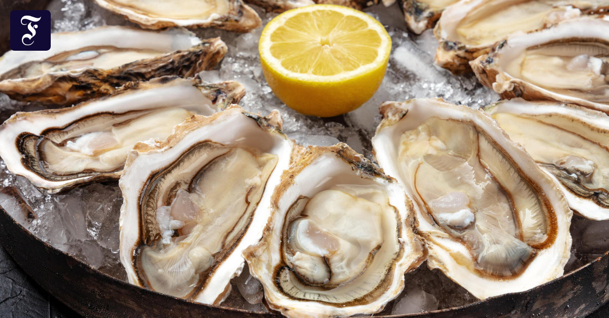 München: Der Grund für den Austern-Hype in Restaurants