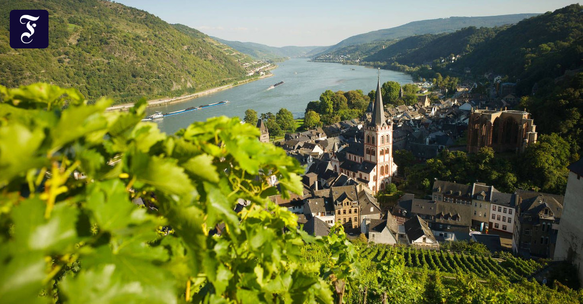 Lokale Winzer verhelfen dem Rheinwein zu neuem Mythos