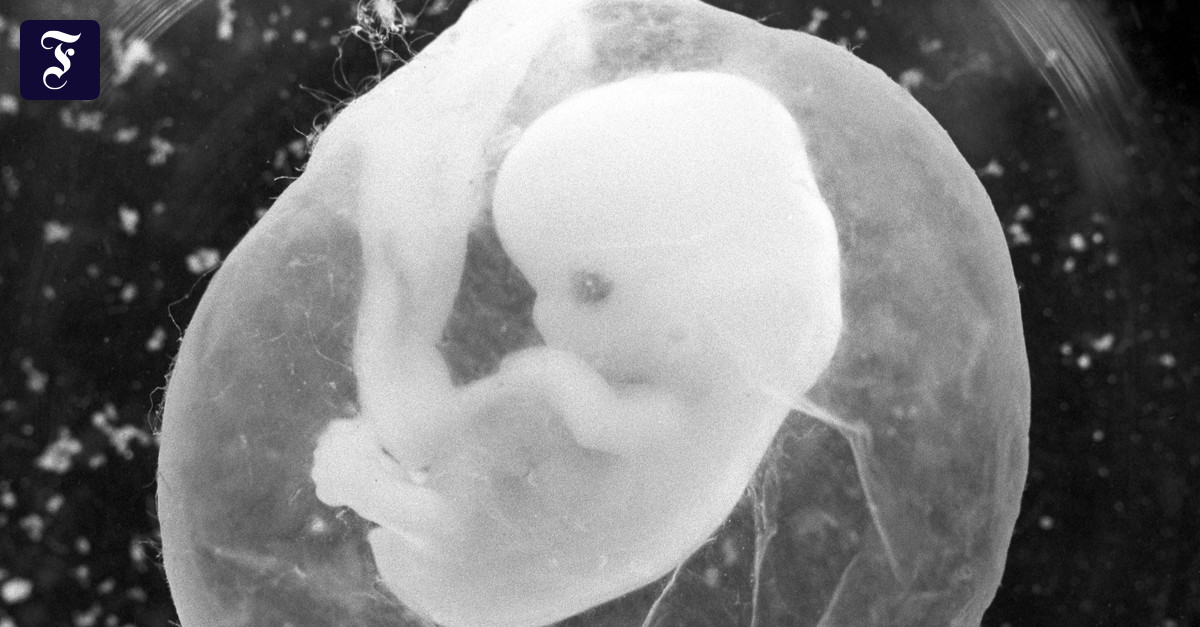 Europäisches Grundrecht auf Abtreibung verstößt gegen das Grundgesetz