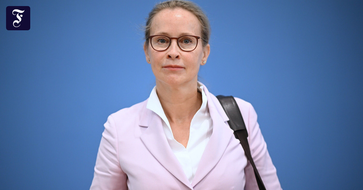 Bundesverfassungsgericht: Wahlausschuss nominiert Richterkandidaten ...