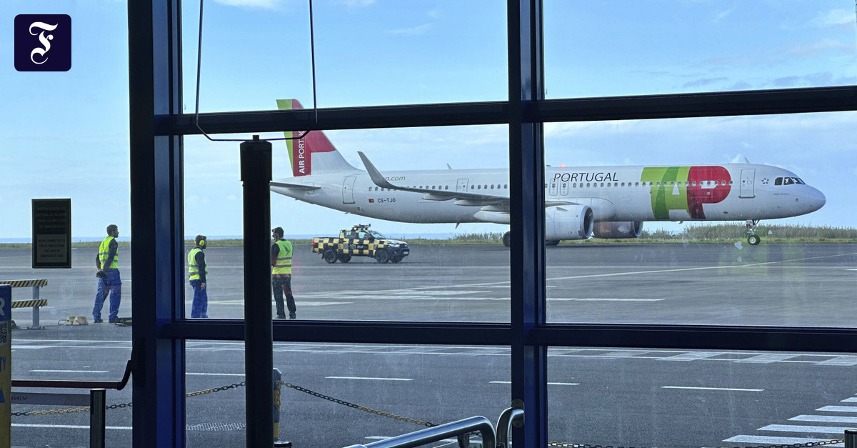 Portugal: Wie der TAP-Skandal die Regierung gefährdet