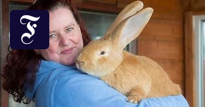 Riesenkaninchen Atlas hat ein neues Zuhause