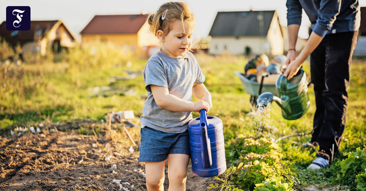 Tipps für Klimaschutz: Umwelt retten für Kinder