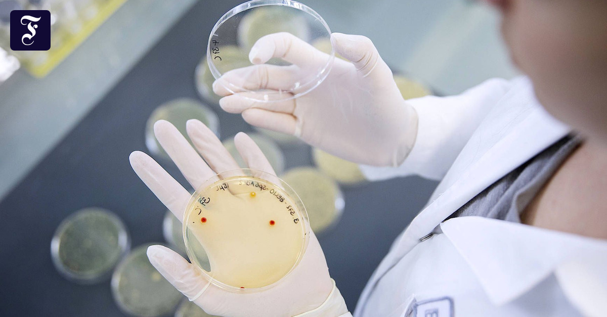 Brain Biotech plant Tochter für Genschere CRISPR/Cas