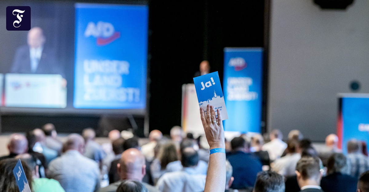 AfD-Parteitag in Hofheim: Mehrere Demonstrationen geplant