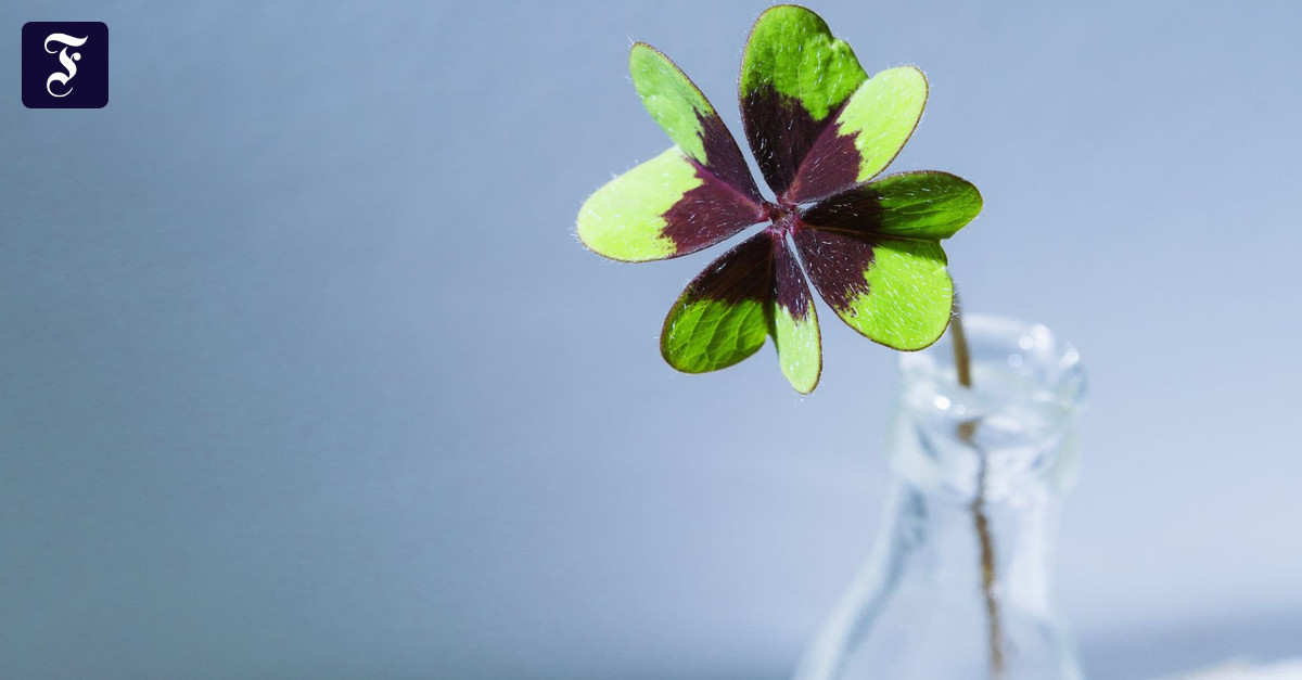 Volker Looman: Die 10 goldenen Regeln der Geldanlage