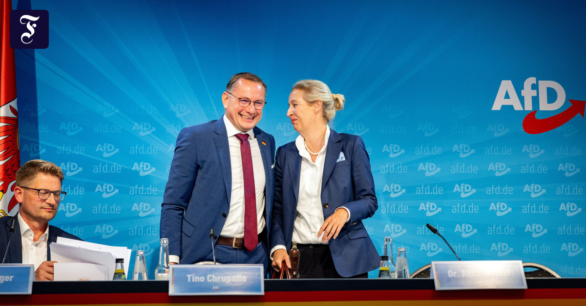 Brandenburg: Wie die AfD dank Sperrminorität den Landtag behindern kann