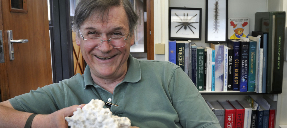 80. Geburtstag des Nobelpreisträgers Tim Hunt: Entdeckung und Eklat