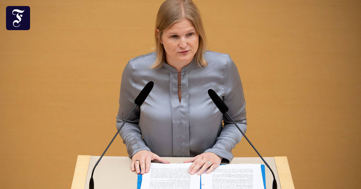 Bayern: AfD-Abgeordnete zeigen eigene Fraktionsvorsitzende an