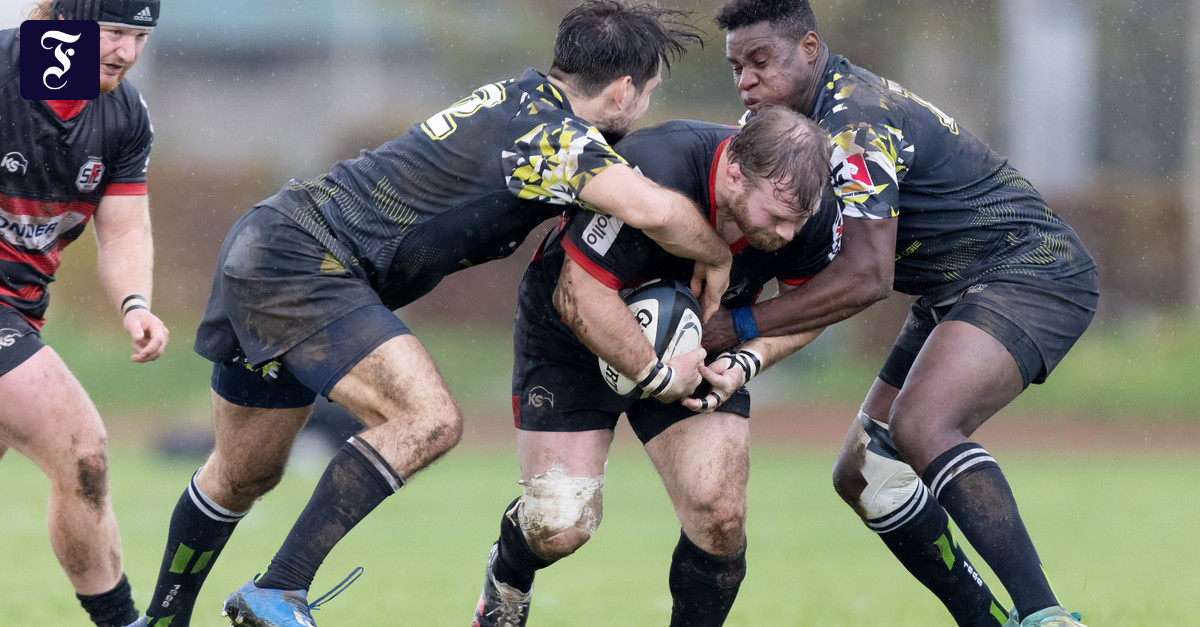 Rugby-Bundesliga: Offenbacher SCR gegen SC 1880 Frankfurt