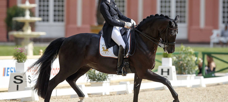 Erfolgreiche Dressur für Abiturientin Rothenberger