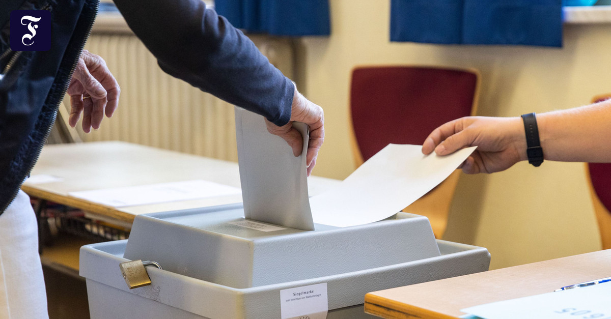 AfD effect: Why voter turnout in Germany is falling again - Teller Report