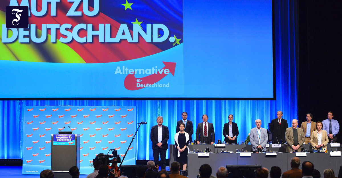 Nach Programmparteitag: So radikal will die AfD Deutschland umbauen ...