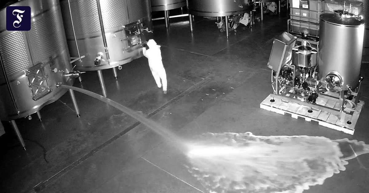 Spanien: Vermummte Person verschüttet Wein im Wert von 2,5 Millionen Euro