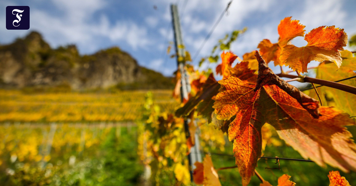 Nicht nur wegen Klimawandel: Darum ist es im Oktober ungewöhnlich warm