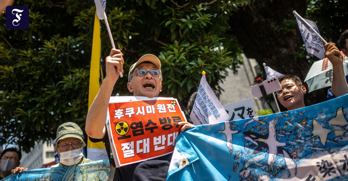 Protest in Japan gegen Einleitung von Fukushima-Abwasser in das Meer