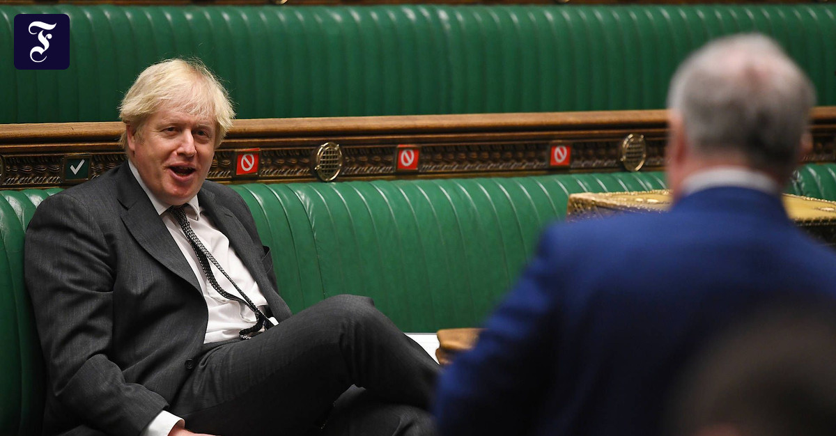 Der freundliche Boris: Beste Freunde und Verbündete
