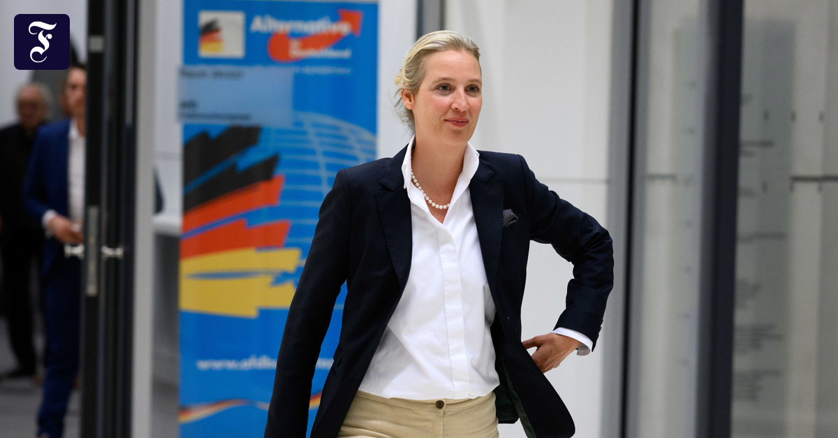 AfD-Chefin Alice Weidel: Uni Bayreuth prüft Plagiatsvorwürfe