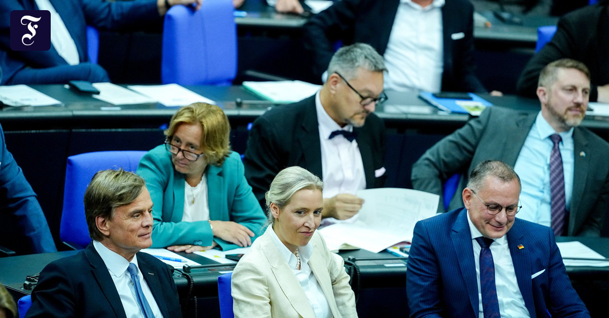 Little.warren leaks onlyfans she is down to earth,