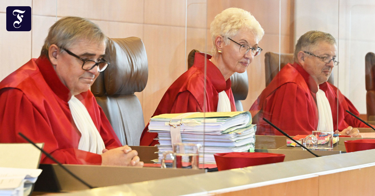 Erasmus-Stiftung in Karlsruhe: Die AfD ist selbst schuld