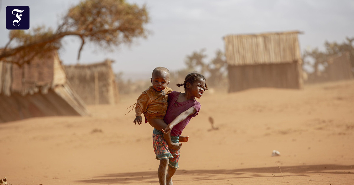 Klimawandel: Das Klima ist Opfer des Ukraine-Krieges