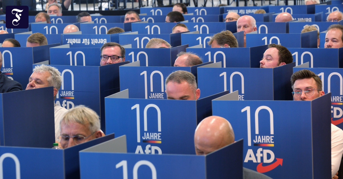 AfD und Europa: So entwickelte sich die Programmatik