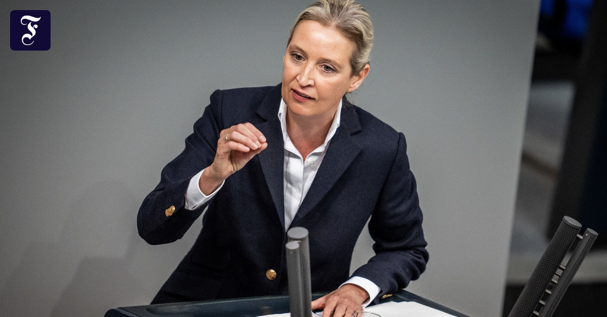 Alice Weidel kennt Grimm-Märchen nicht: Rattenfänger AfD