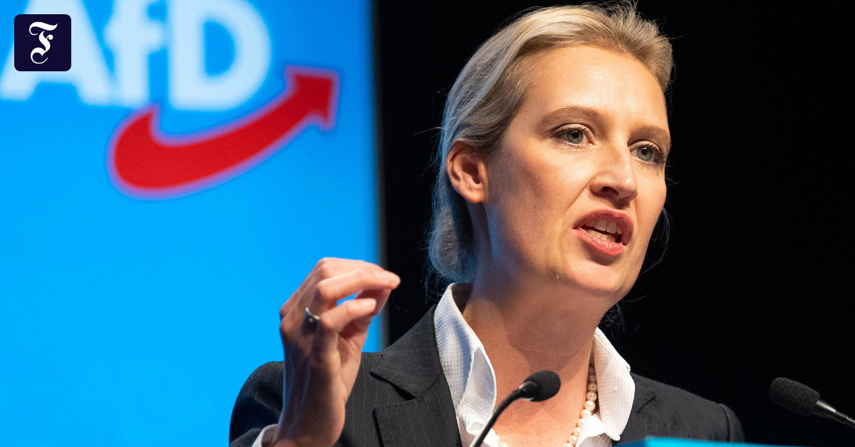 AfD Baden-Württemberg: Weidels Etappensieg