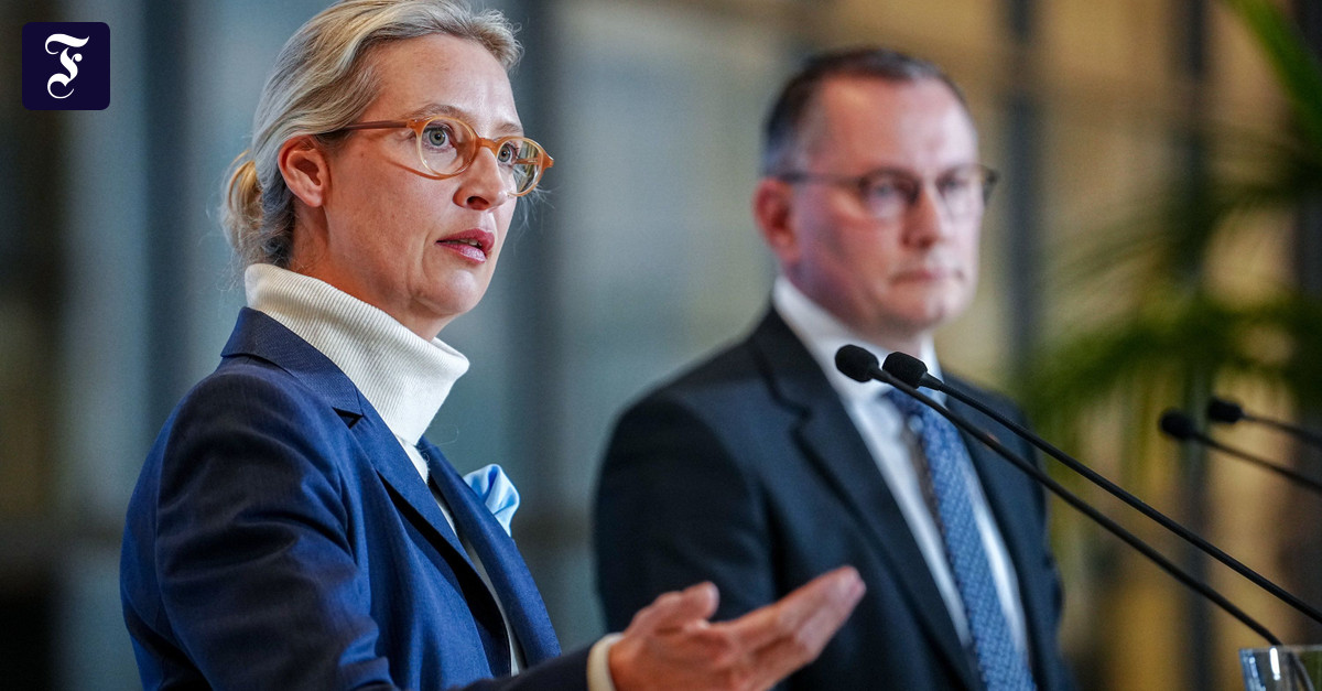 Nach Einstufung durch Verfassungsschutz: Wie sollen ARD und ZDF mit der AfD umgehen? | FAZ