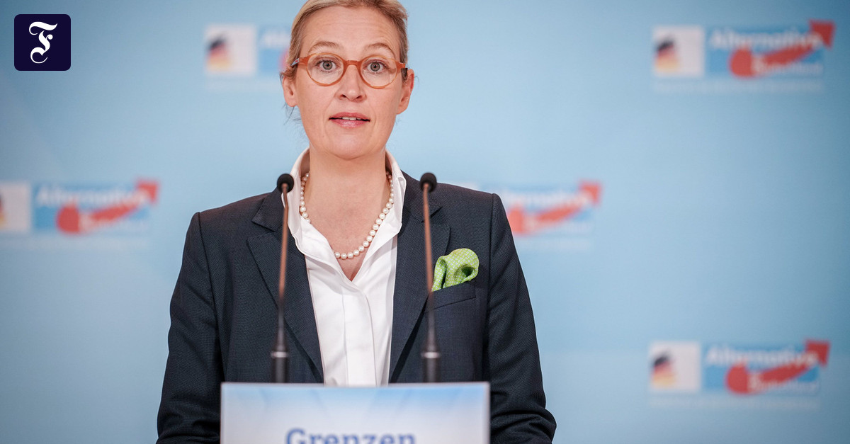 Weidl ist schuldfrei: Uni stellt Plagiatsprüfung von Doktorarbeit ein