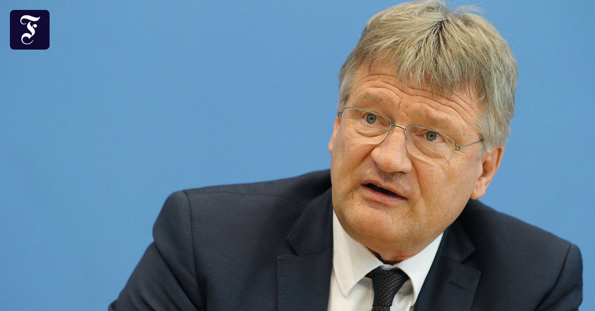 AfD-Vorsitzender Meuthen sieht höchstens 20 Prozent bei Flügel