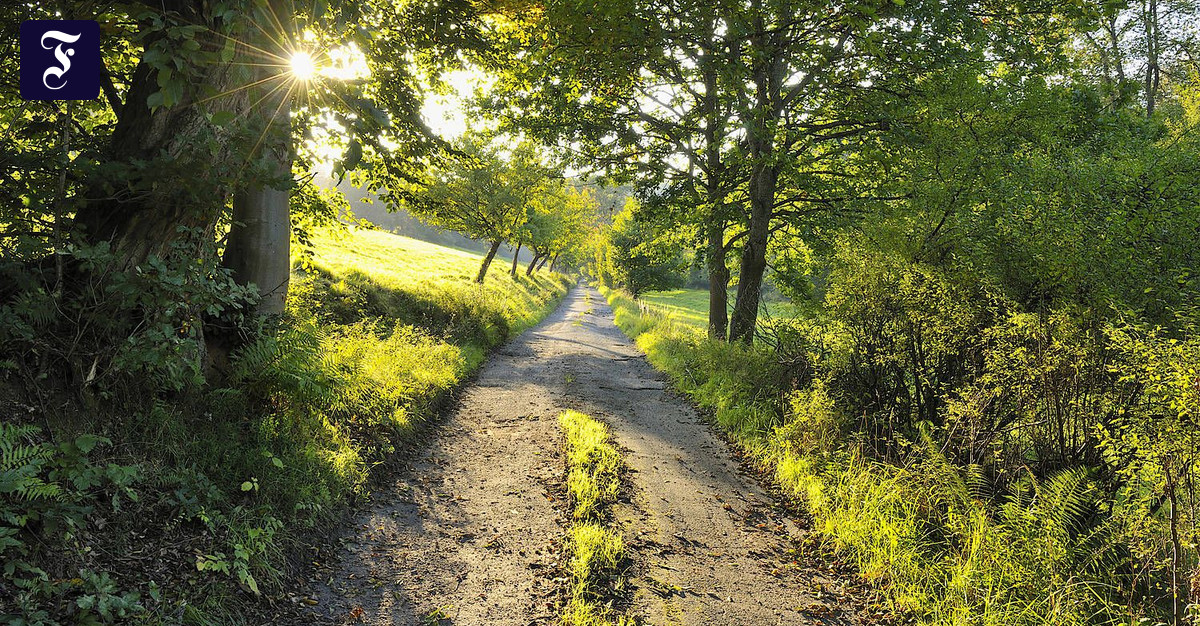 Urlaub in der Region: Spessart als Geheimtipp