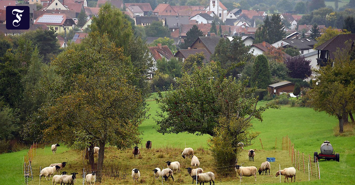 Main-Kinzig-Kreis: Natur und Lebensgefühl als WIrtschaftsfaktor