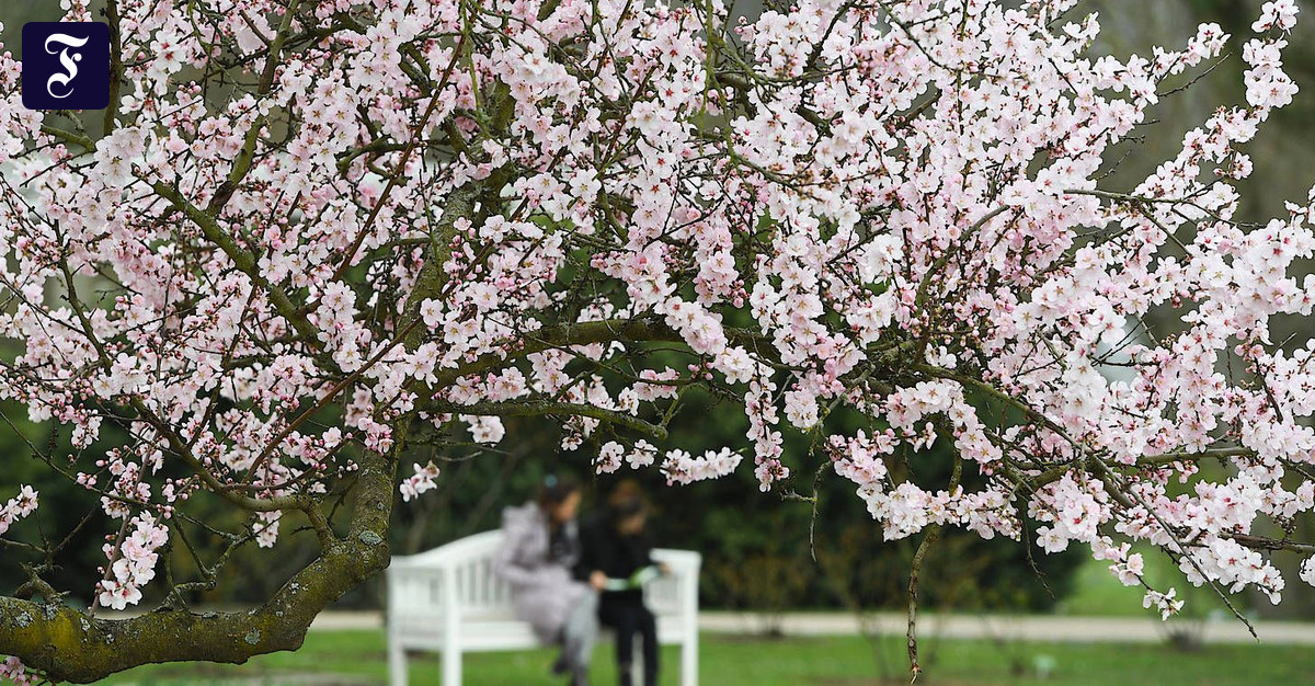 Die Gartenkultur – eine Europäerin: Veranstaltungsreihe Garten Rhein-Main