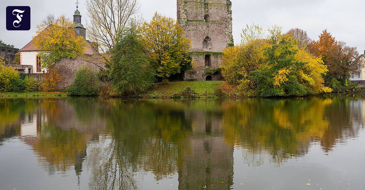 Experten untersuchen Burg Hayn mit Drohnen und Radar