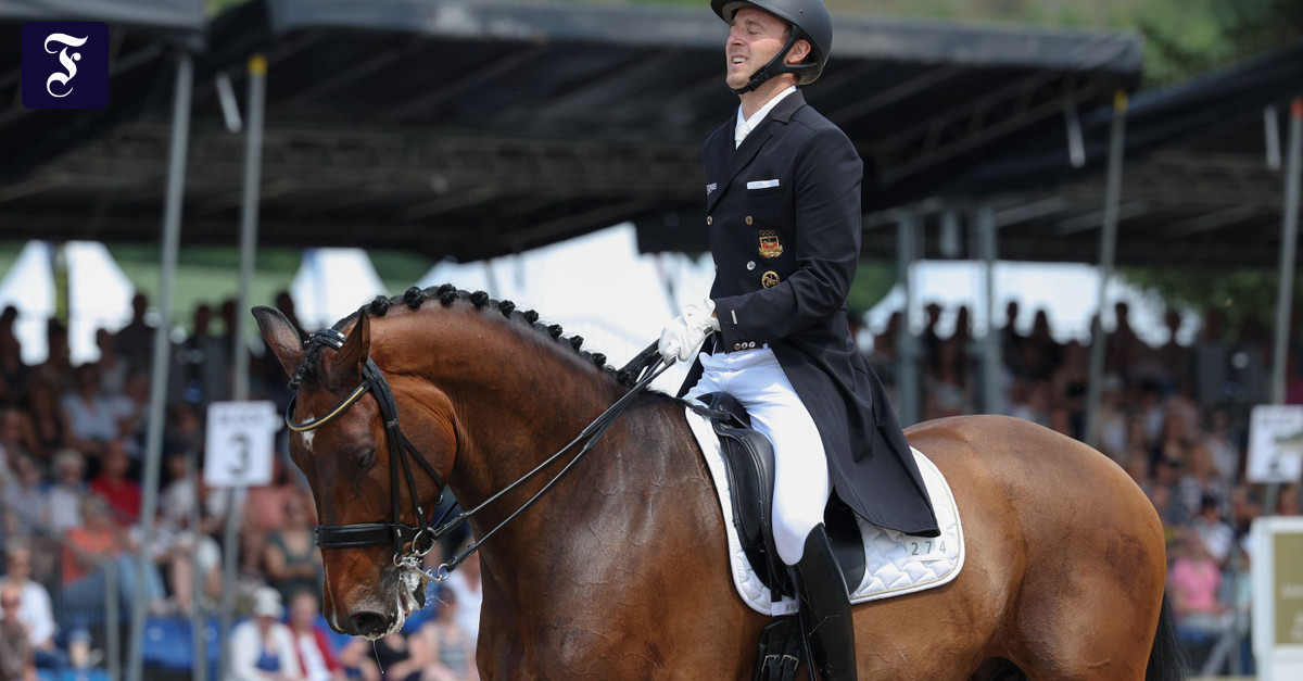 Dressur-Meisterschaften in Balve: Medaillen für die Geschwister ...