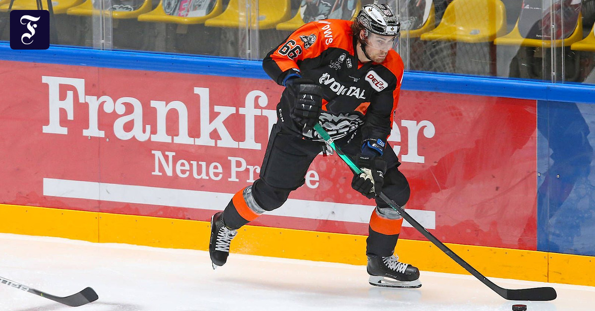 Eishockey in DEL 2: Aufschwung der Frankfurter Löwen hält an