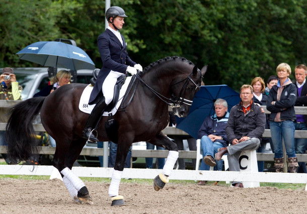 Bild zu: Reitsport: Hoffnung auf Ende der „Rollkur“-Ära - Bild 1 von 1 ...