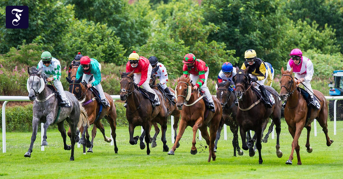 Deutsches Galopp-Derby: Wonderful Moon von Henk Grewe Favorit