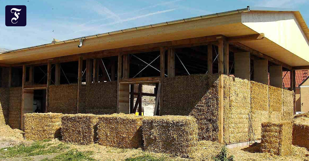 Baustoff Stroh: Ein Haus aus Getreidestengeln - Technik - FAZ