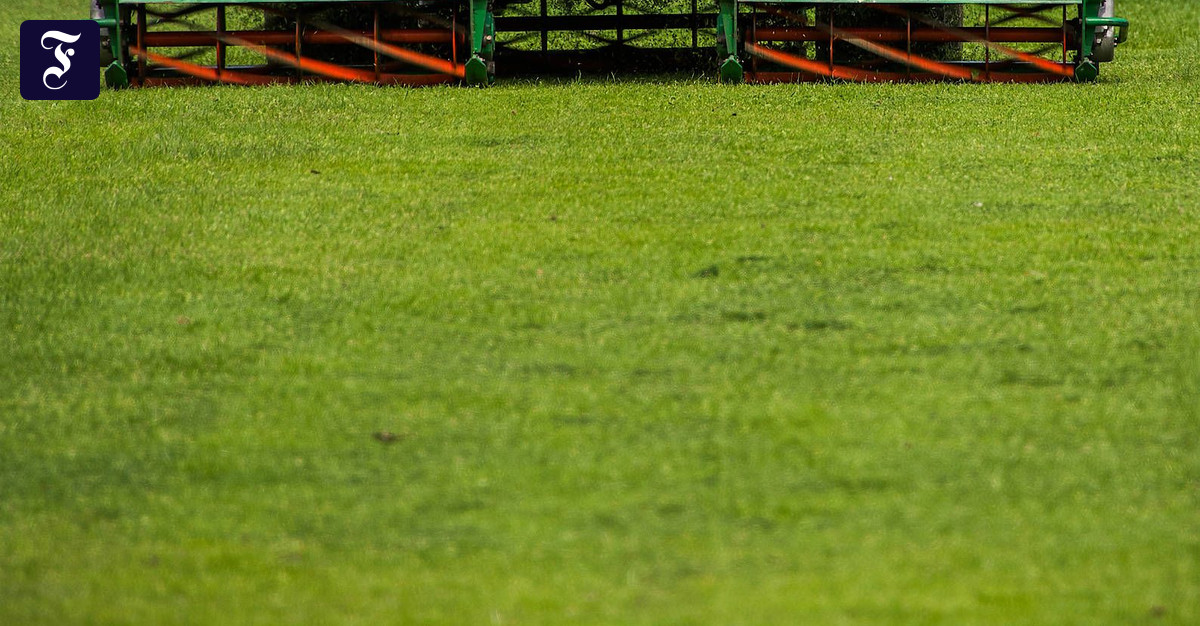 Grüner wird’s nicht: So pflegen Sie ihren Rasen richtig - Technik - FAZ